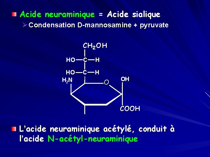 Les Glucides Etude Structurale Docteur Md Niama Diop