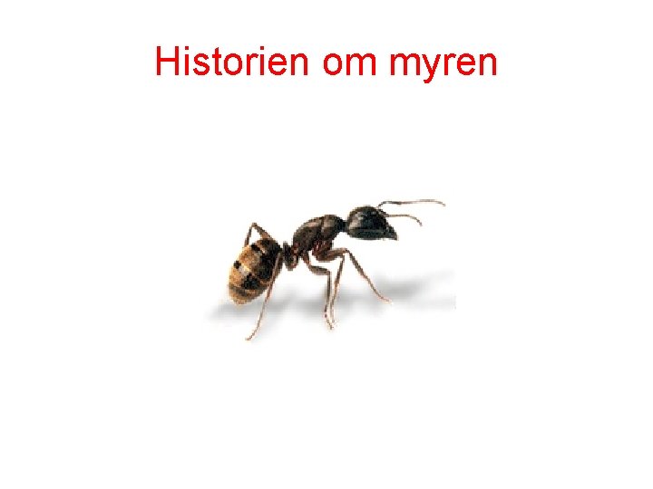 Noget om motivation Historien om myren Hvad er