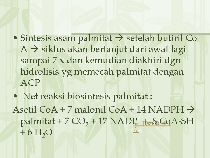 Biosintesis Lipida Lipogenesis Lipogenesis Sintesis Asam Lemak Lipogenesis