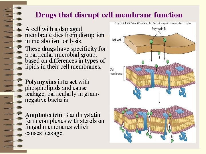 Chair of Microbiology Virology and Immunology Doctrine about