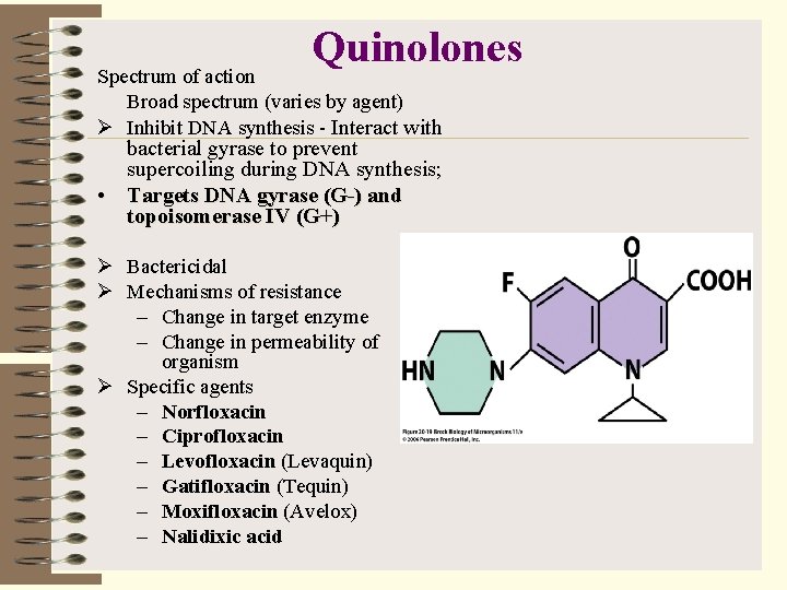 Chair of Microbiology Virology and Immunology Doctrine about