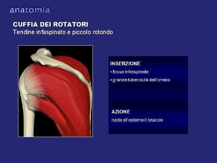 S C di RADIOLOGIA CENTO ECOGRAFIA DI SPALLA