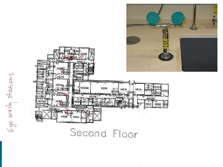 Health Safety Emergency Evacuation and Operations Plan Department