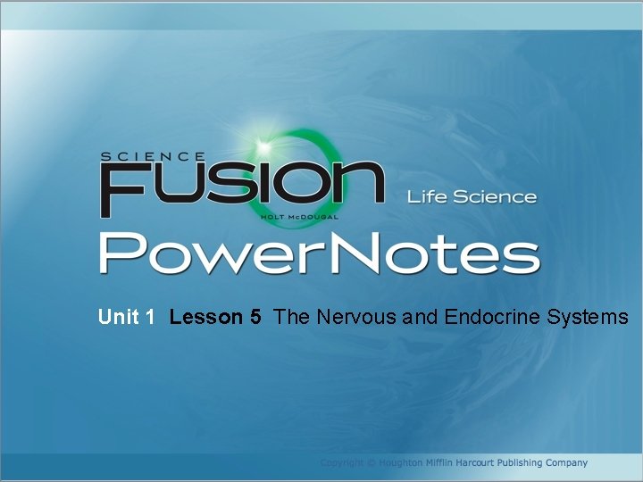 Unit 1 Lesson 5 The Nervous and Endocrine