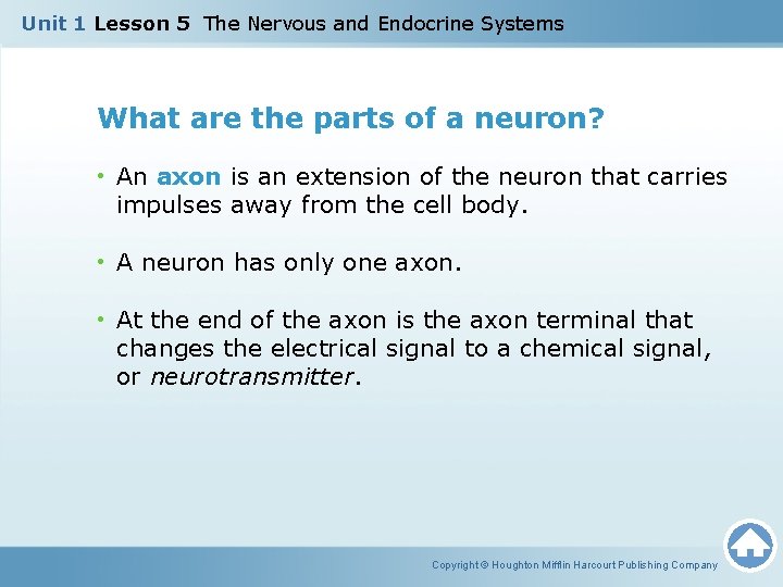 Unit 1 Lesson 5 The Nervous and Endocrine