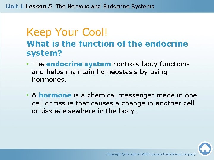 Unit 1 Lesson 5 The Nervous and Endocrine