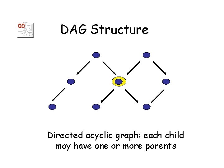 Scope of the Gene Ontology Vocabularies GO Project