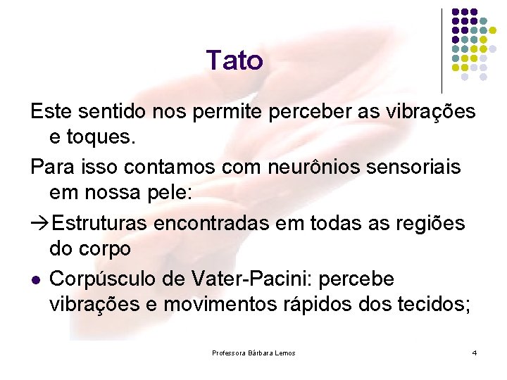 Os 5 sentidos do Corpo Humano Tato Viso