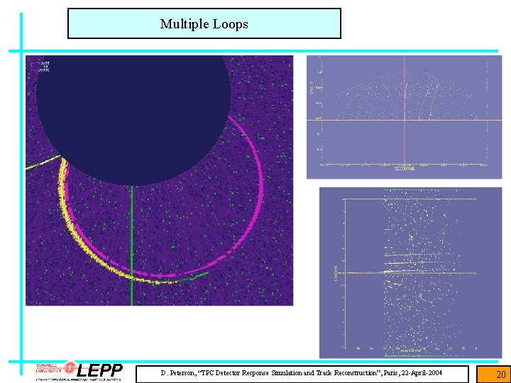 TPC Detector Response Simulation and Track Reconstruction Physics