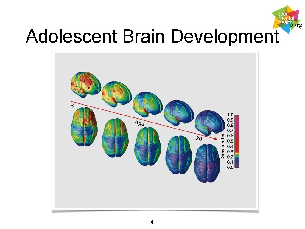 Parent Mental Health Literacy Developed By Dr Stan