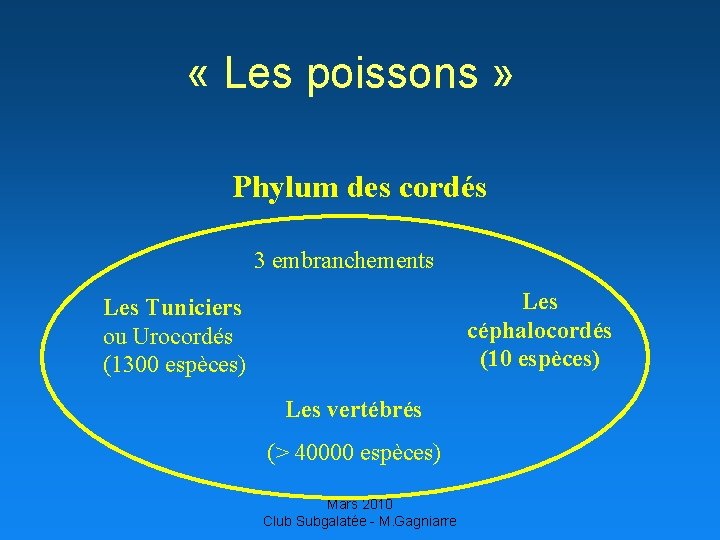 Les poissons Classification Description morphologie Reproduction ...