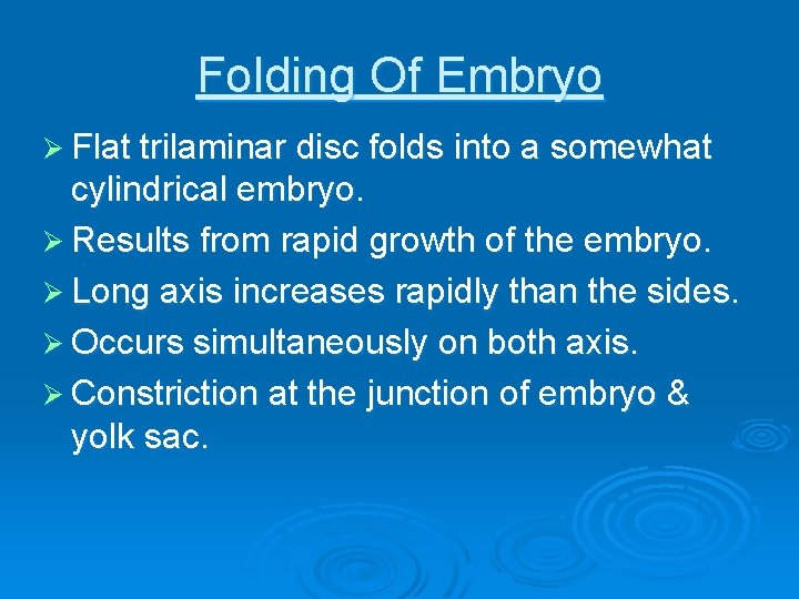 Folding of the Embryo Figures or photographs used