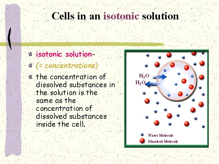 Section Objectives Explain how the processes of diffusion