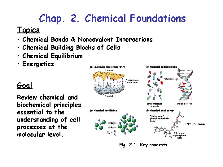 Chap 2 Chemical Foundations Topics Chemical Bonds Noncovalent