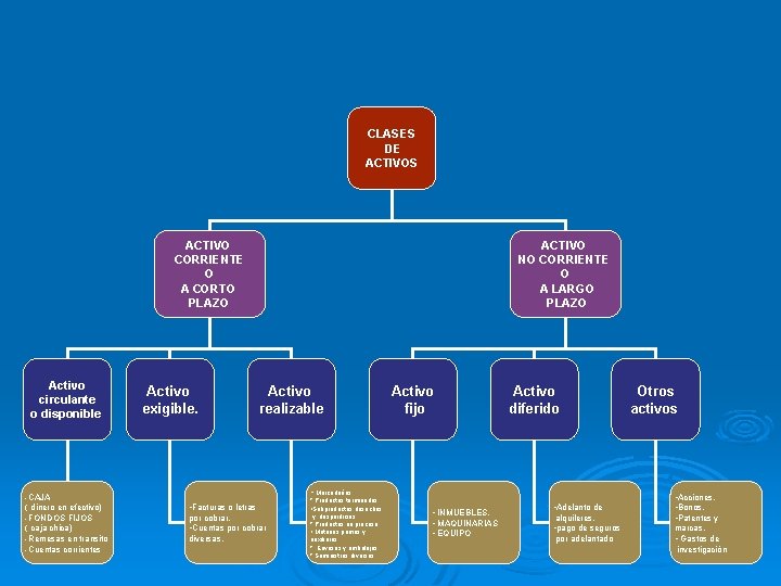 UNIVERSIDAD PRIVADA DEL NORTE CLASIFICACION DE ACTIVOS Y