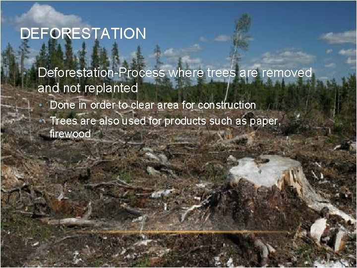 HUMAN IMPACT ON THE LITHOSPHERE AGRICULTURE AgricultureThe cultivation