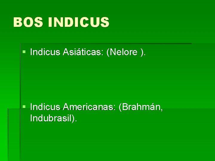 RAZAS BOVINAS PRODUCCION POLIGASTRICOS RAZAS BOVINAS GENERO Bos