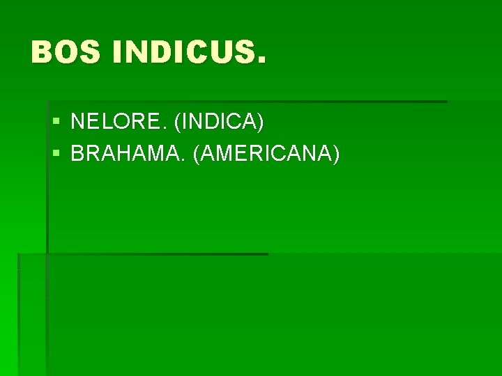 RAZAS BOVINAS PRODUCCION POLIGASTRICOS RAZAS BOVINAS GENERO Bos