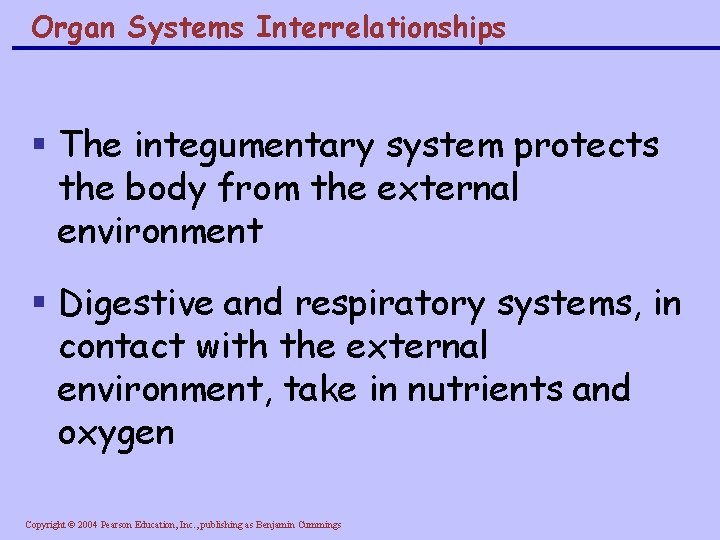 Power Point Lecture Slides prepared by Vince Austin