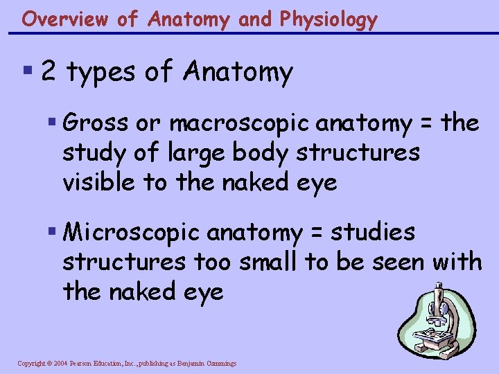 Power Point Lecture Slides prepared by Vince Austin