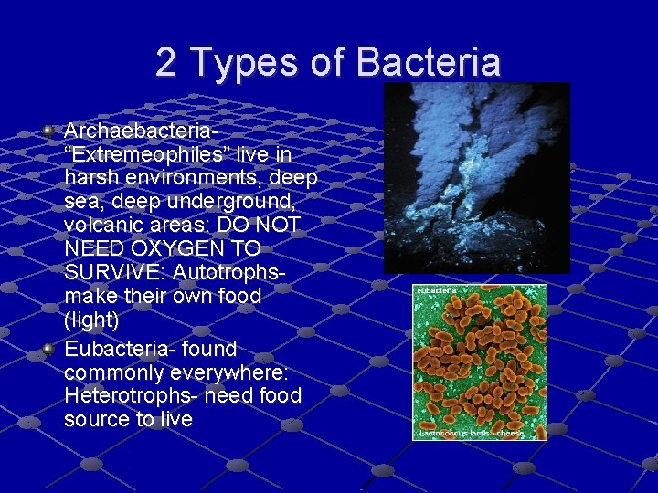 Microlife Bacteria You will understand comprehend the characteristics