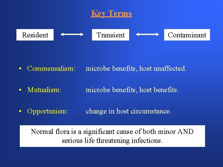 Normal Microbial Flora Microbiota Prof Khaled H AbuElteen