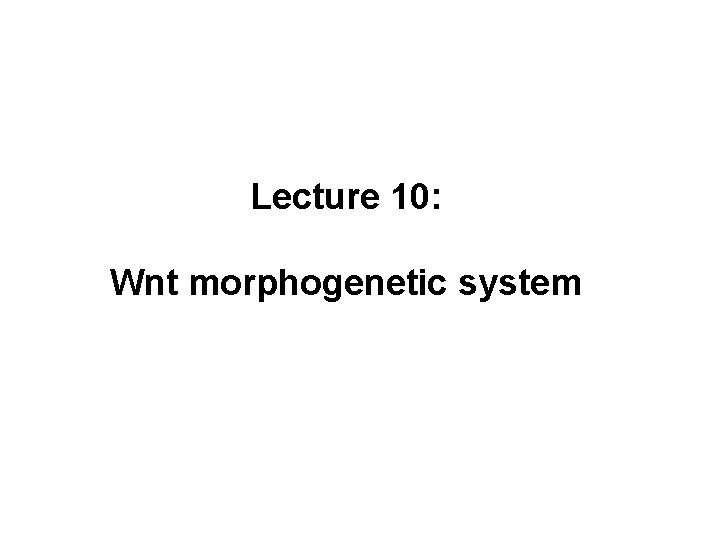 Lecture 10 Wnt morphogenetic system Wnts WinglessInt family