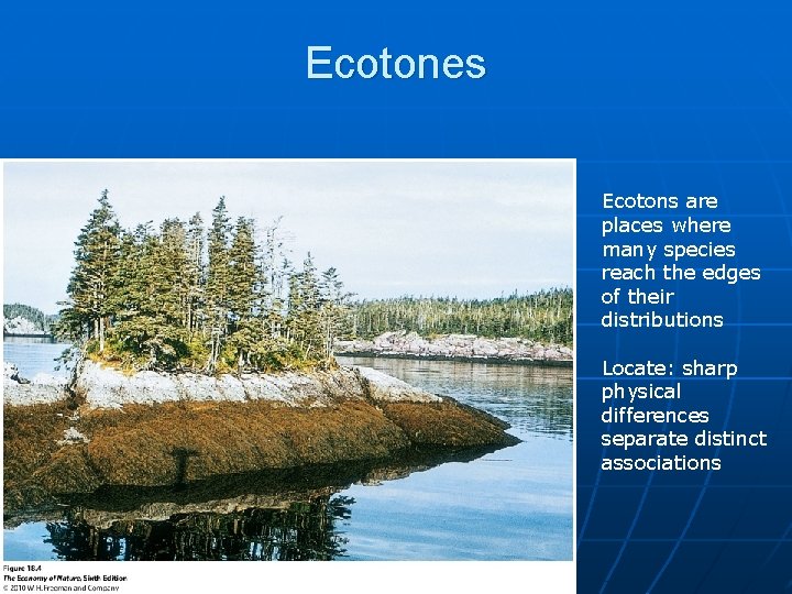 BIOL 4120 Principles of Ecology Lecture 15 Community