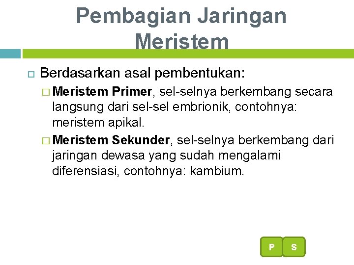 PLANT TISSUES Agustin Mahardika NIM 081434012 P Bio