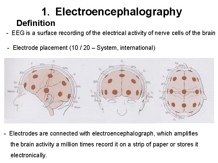 1 Electroencephalography Definition EEG is a surface recording