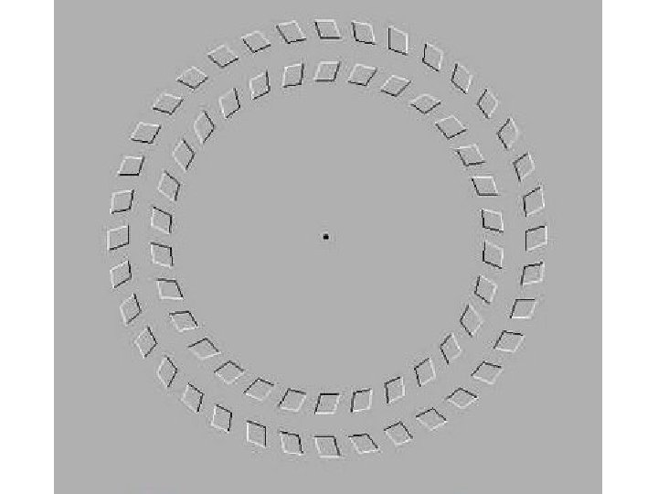 Percepo visual Interpretao de um estimulo visual sentido