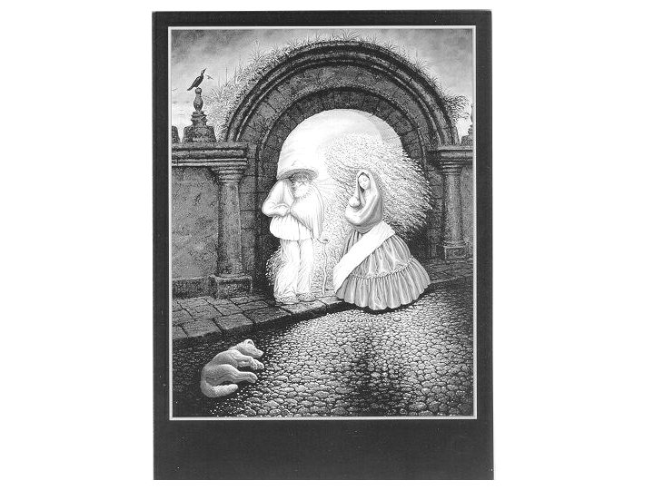 Percepo visual Interpretao de um estimulo visual sentido