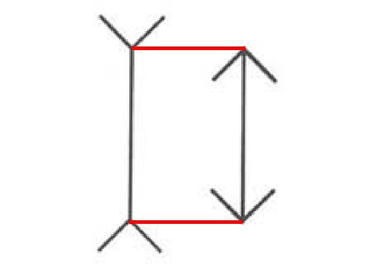 Percepo visual Interpretao de um estimulo visual sentido