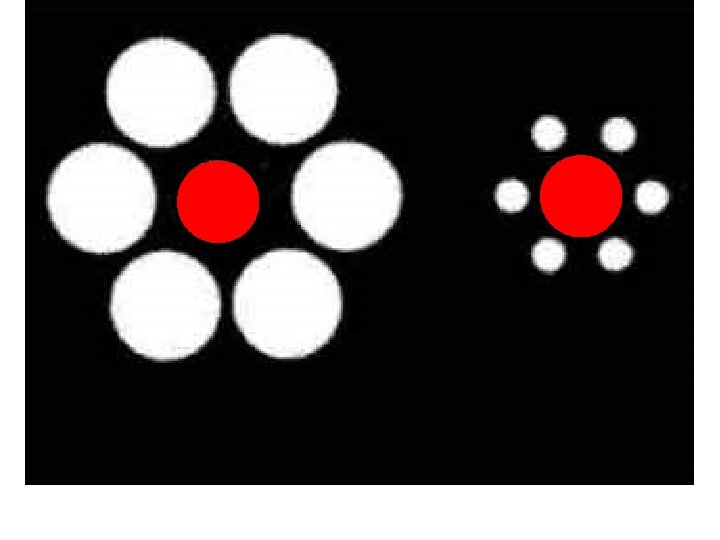 Percepo visual Interpretao de um estimulo visual sentido