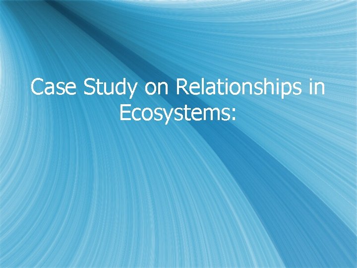Case Study on Relationships in Ecosystems An observant