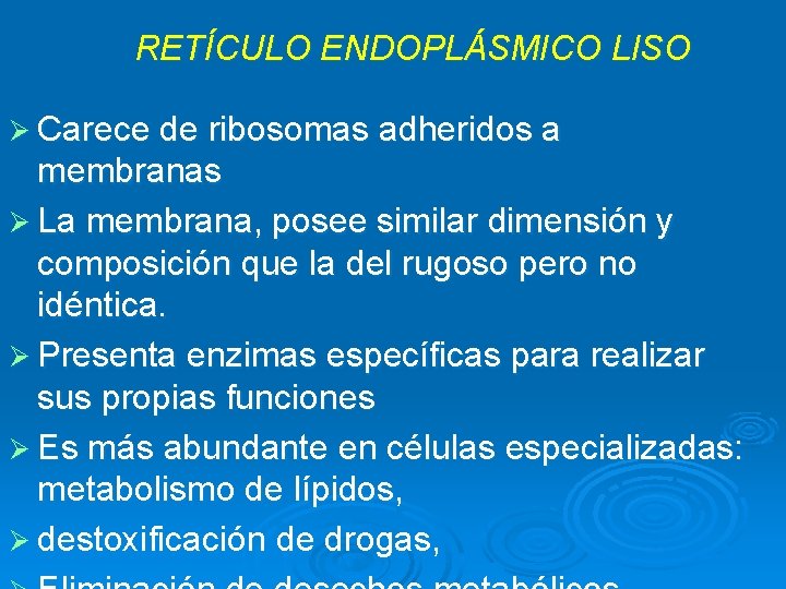 RETICULO ENDOPLSMICO RUGOSO Y LISO RETICULO ENDOPLASMICO Es