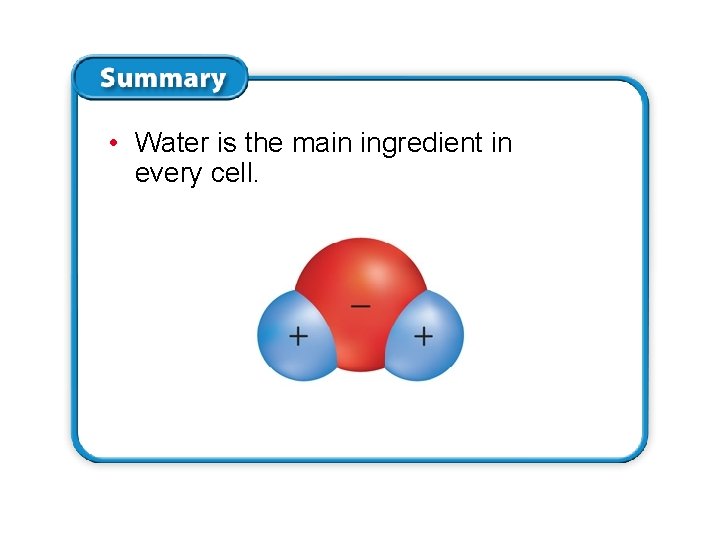 Cell Components and Organelles Lesson 1 Cells and