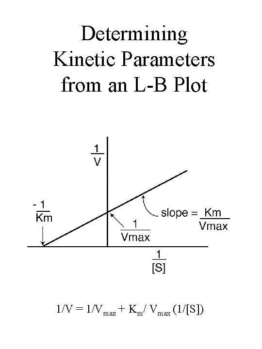 LAB 3 Enzyme Kinetics Studying galactosidase activity at