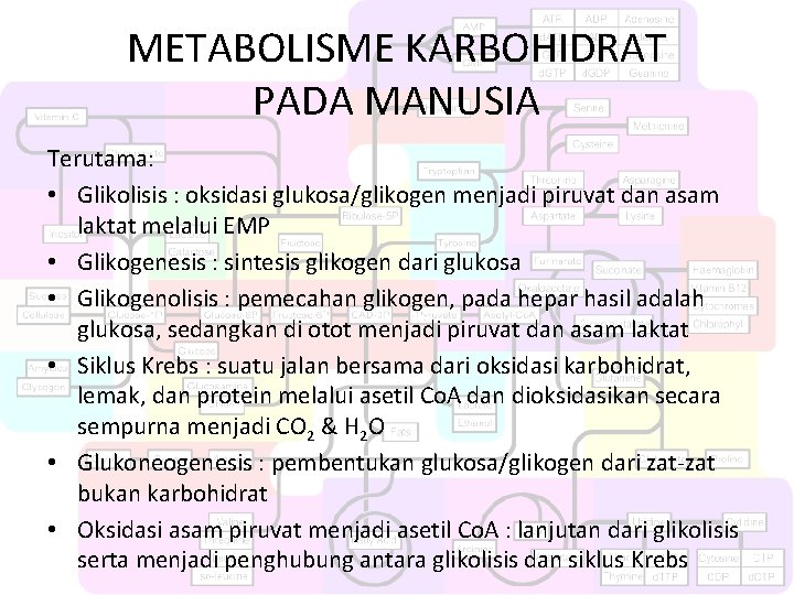 METABOLISME KARBOHIDRAT LIPID DAN PROTEIN 09 Januari 2018