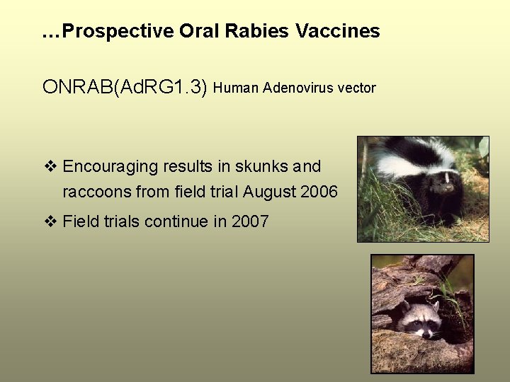 ATTAINING RACCOON RABIES MANAGEMENT GOALS HISTORY AND CHALLENGES