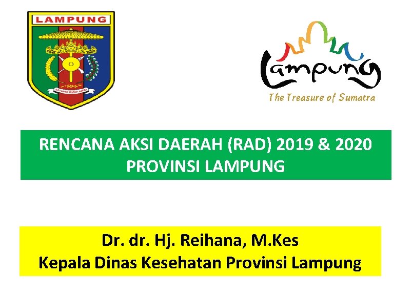 RENCANA AKSI DAERAH RAD 2019 2020 PROVINSI LAMPUNG