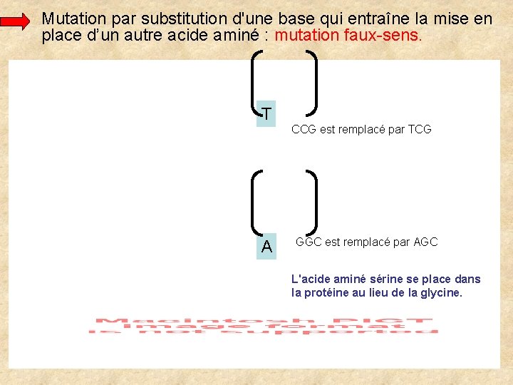 volution et Diversit du Vivant 101 NYA05 Cours