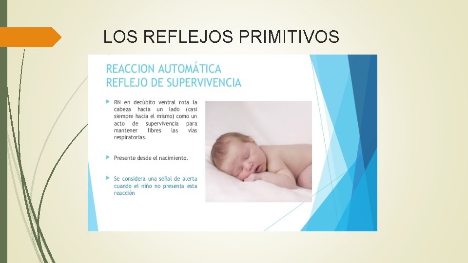 SIGNOS DE ALARMA Y NEURODESARROLLO FACTORES A TENER