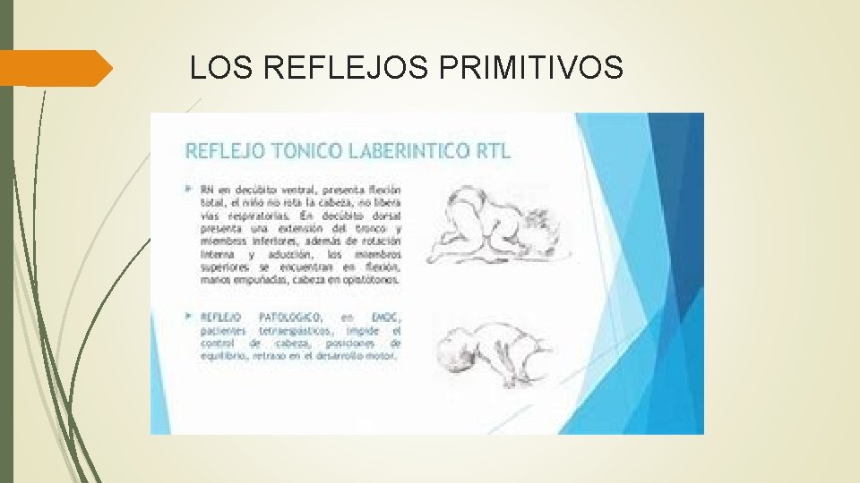 SIGNOS DE ALARMA Y NEURODESARROLLO FACTORES A TENER