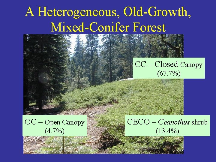 Withinstand Interactions of Forest Structure and Microclimate Variability
