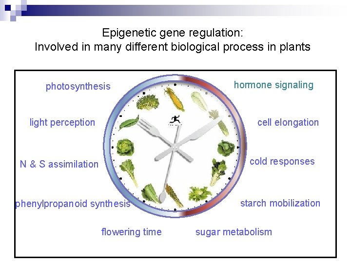 Epigenomics in Plants Nozomu TAKAHASHI June 11 th