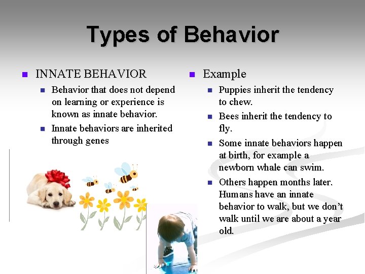 Chapter 3 Section 3 Animal Behavior PROFICIENT I