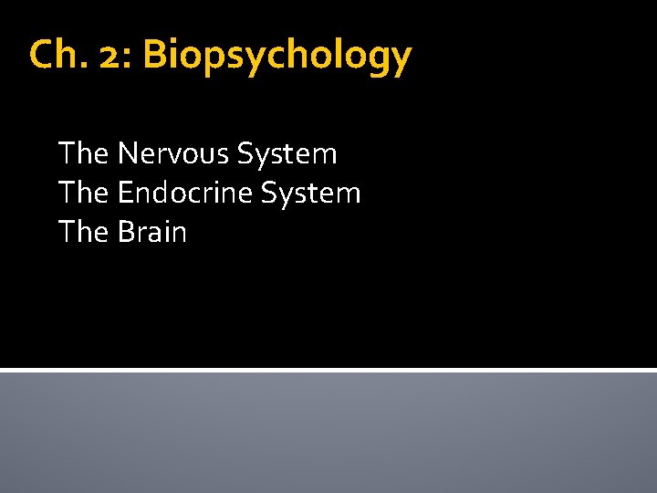 Ch 2 Biopsychology The Nervous System The Endocrine