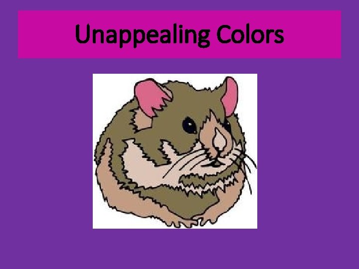 Microsoft Office Power Point Basics What is Power