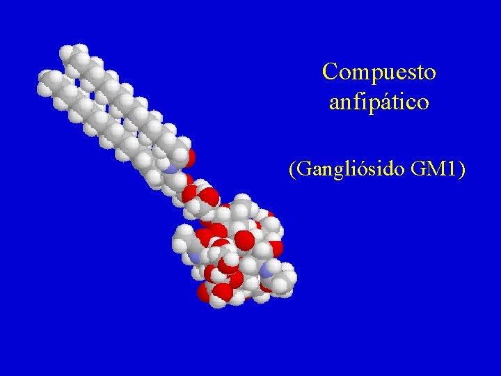 2 Enlace qumico e interacciones no covalentes Estructura